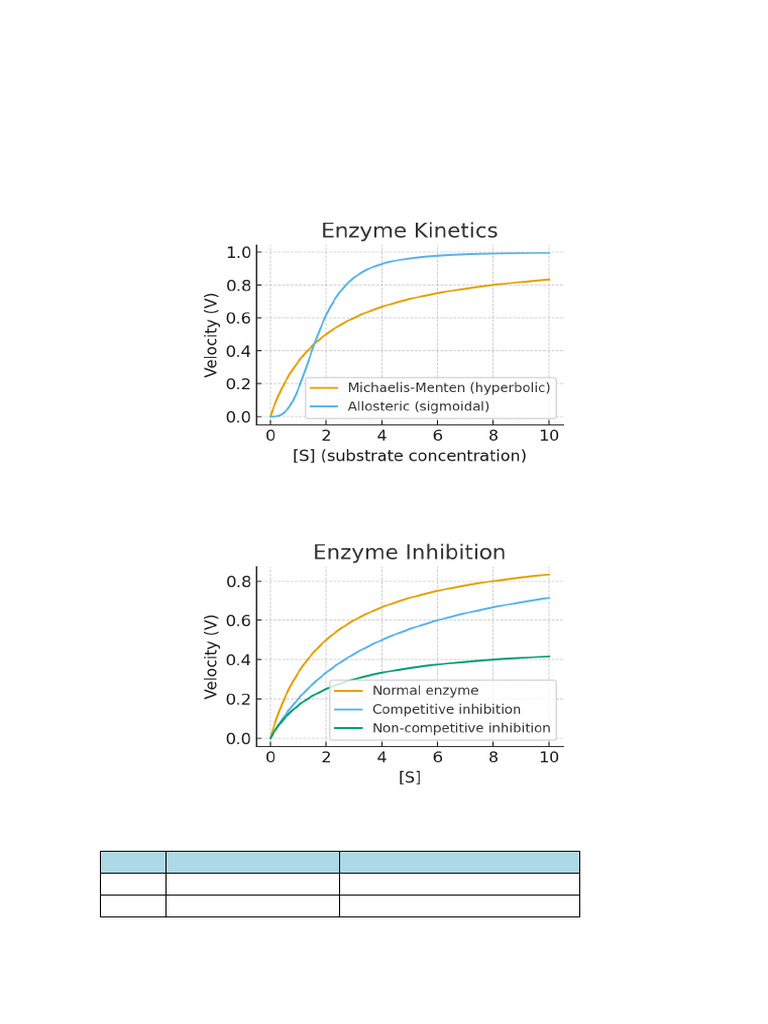 Biomolecules and Enzymes Overview | PDF