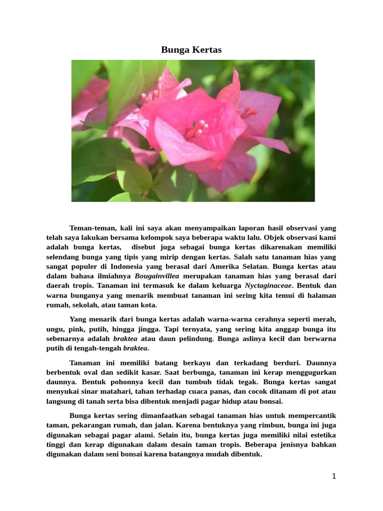 Lho Bunga Kertas | PDF