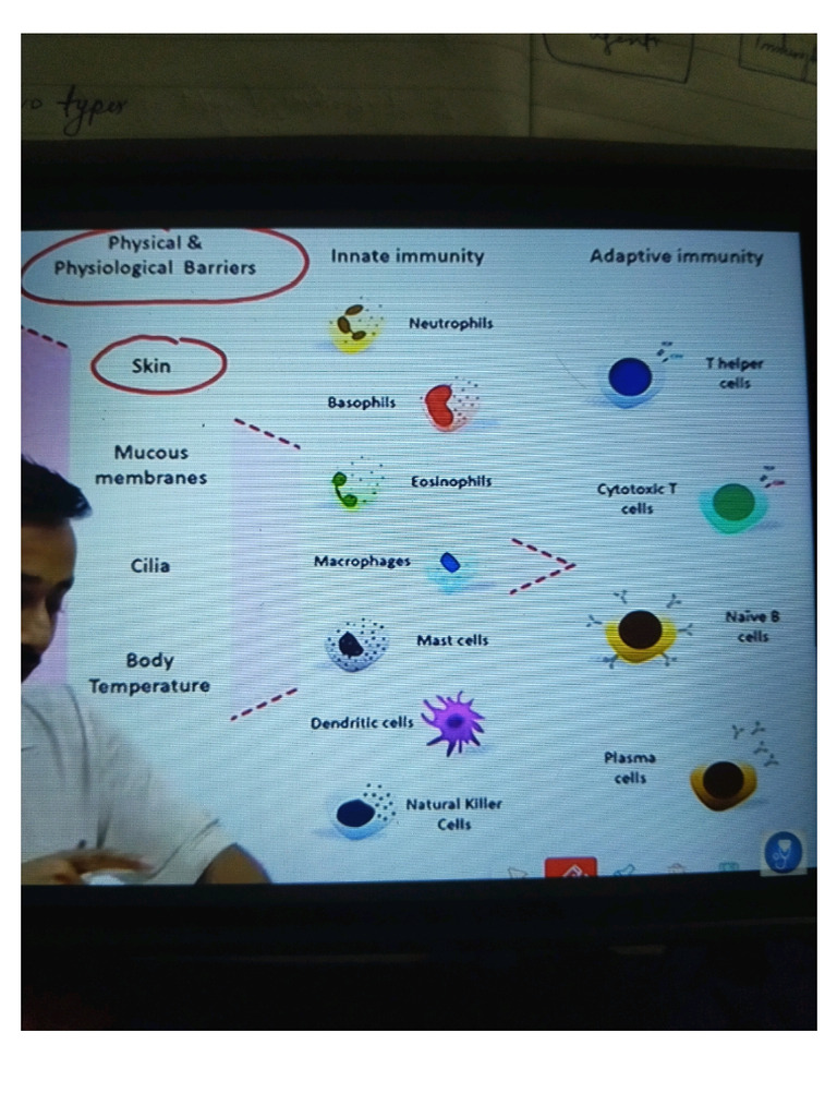 Innate Immunity | PDF
