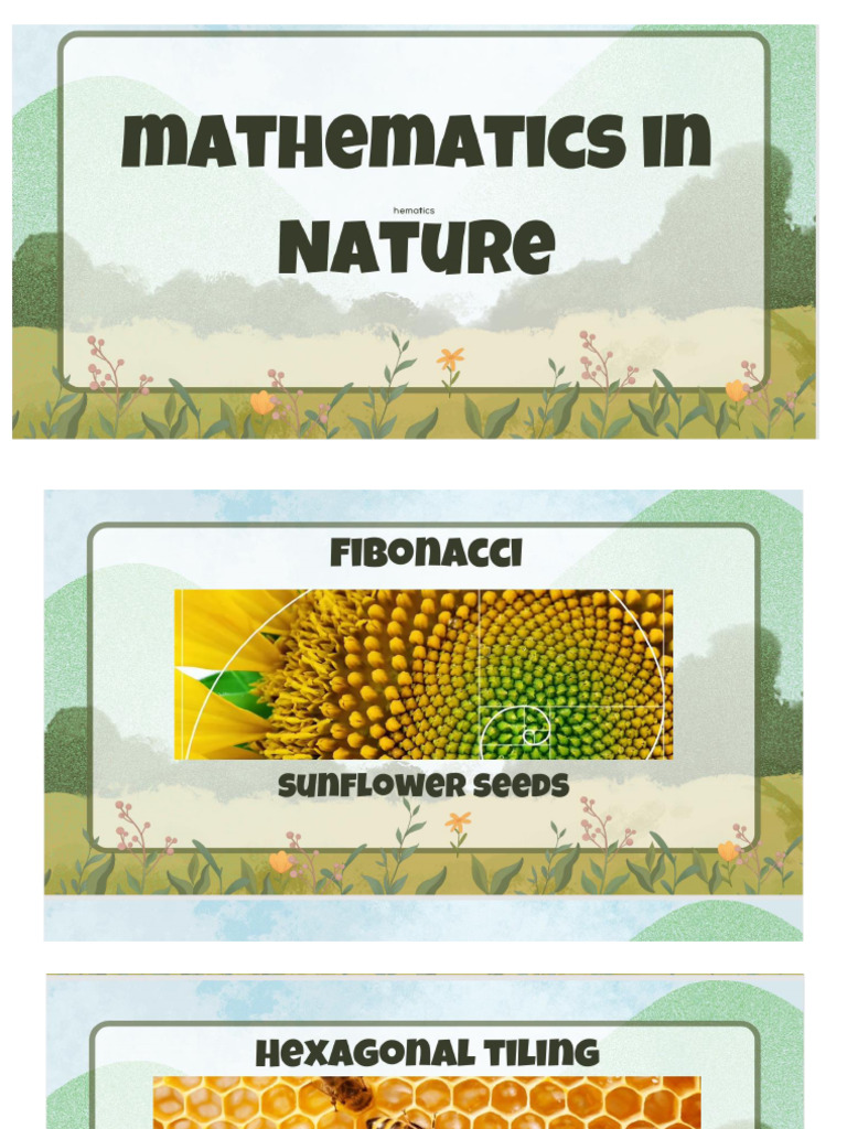 MMW Patterns in Nature | PDF