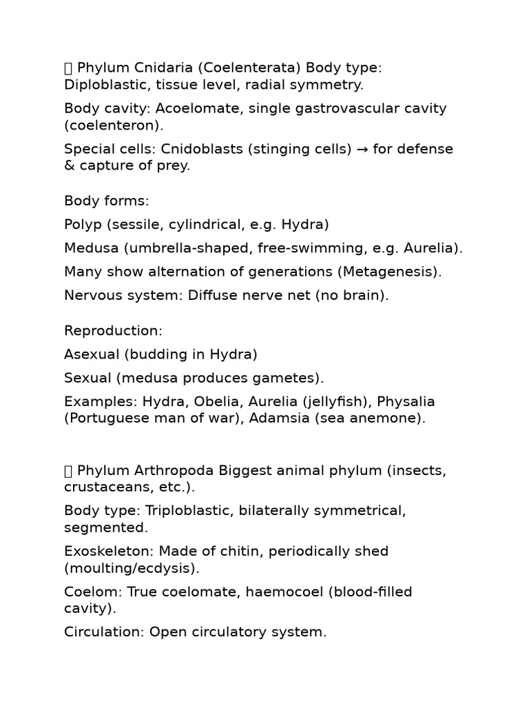 Cnidaria: Structure and Circulation | PDF