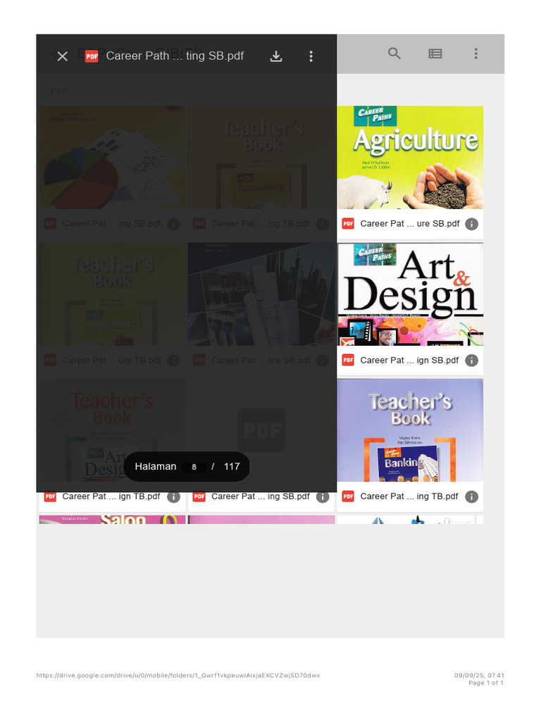 ESP (Career Paths English) (FDIBISI) - Google Drive | PDF