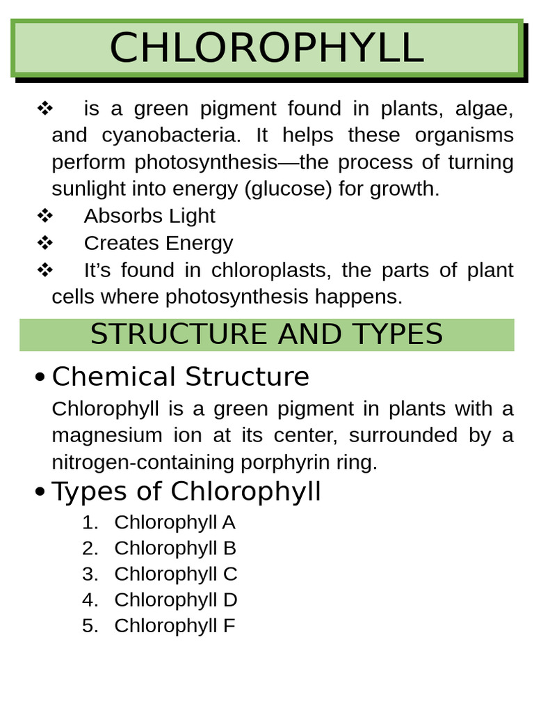 Chlorophyl L | PDF
