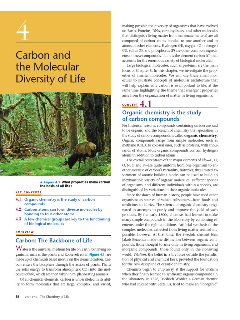 Carbon's Role in Organic Chemistry | PDF | Valence (Chemistry ...