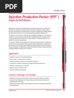 Inflatable Packers en | PDF | Casing (Borehole) | Oil Well