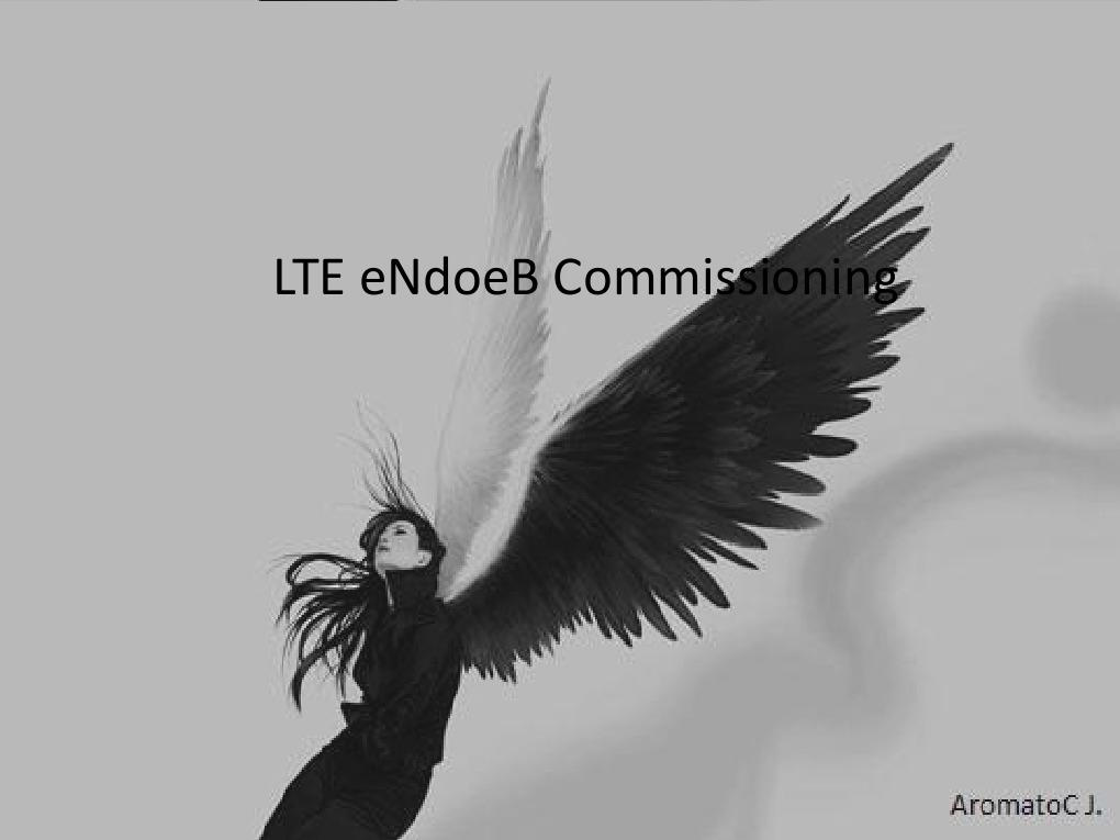 LTE eNodeB Setup Guide | PDF | File Transfer Protocol | Areas Of ...