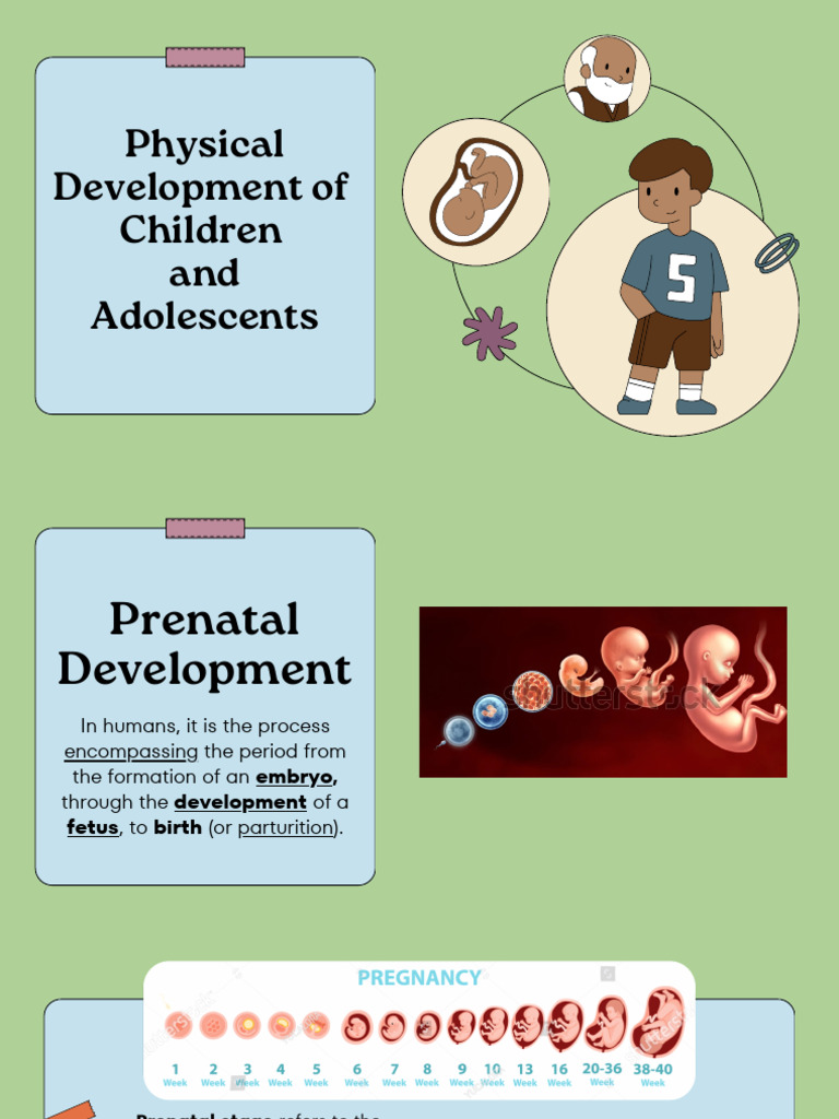 Child and Adolescent Physical Development | PDF | Pregnancy | Preterm Birth