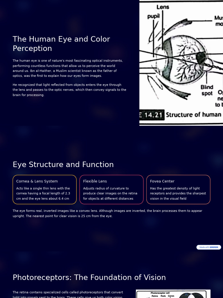 Human Eye: Structure and Color Vision | PDF | Eye | Visual Perception