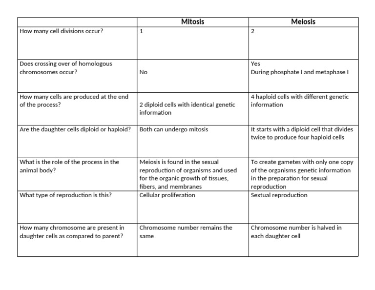 Mitosis Vs Meiosis Graphic Organizer | PDF