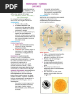Protozoos Sarcodinos G5 | PDF | Organismos | Biología
