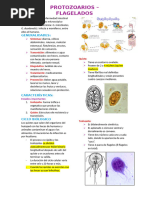 Retortamonas Intestinalis | PDF | Especialidades Medicas | Microbiología