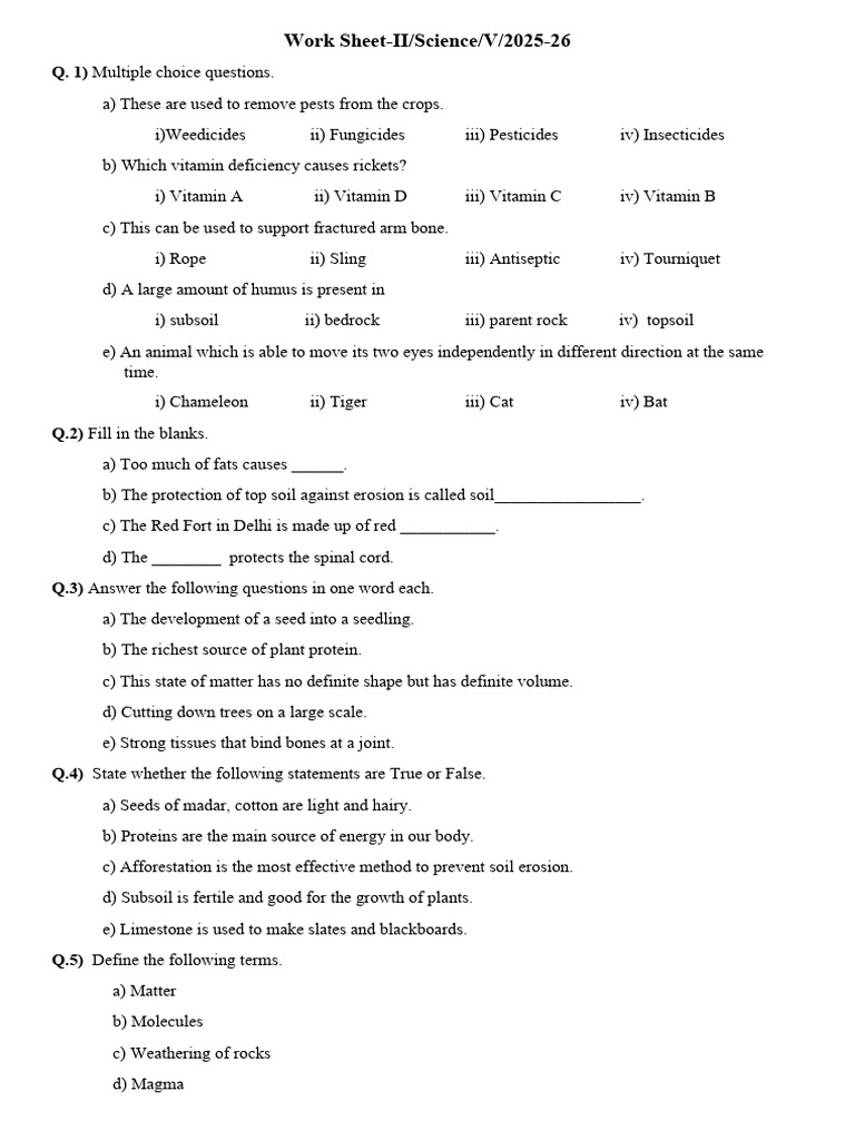 Science Worksheet for Grade 5 - 2025-26 | PDF | Rock (Geology ...