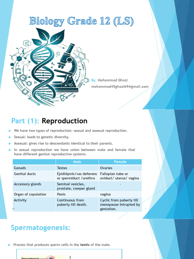 Grade 12 Biology: Reproduction & Heredity | PDF | Menstrual Cycle ...