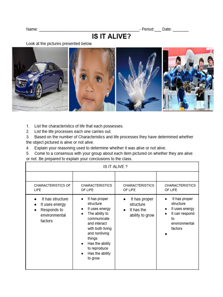 Is It Alive? Template: 9th Grade Human Biolog6 | PDF