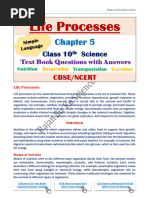 Class 10 Life Processes Notes | PDF | Cellular Respiration | Digestion