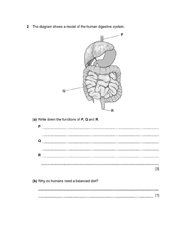 Doc2 sc2 | PDF