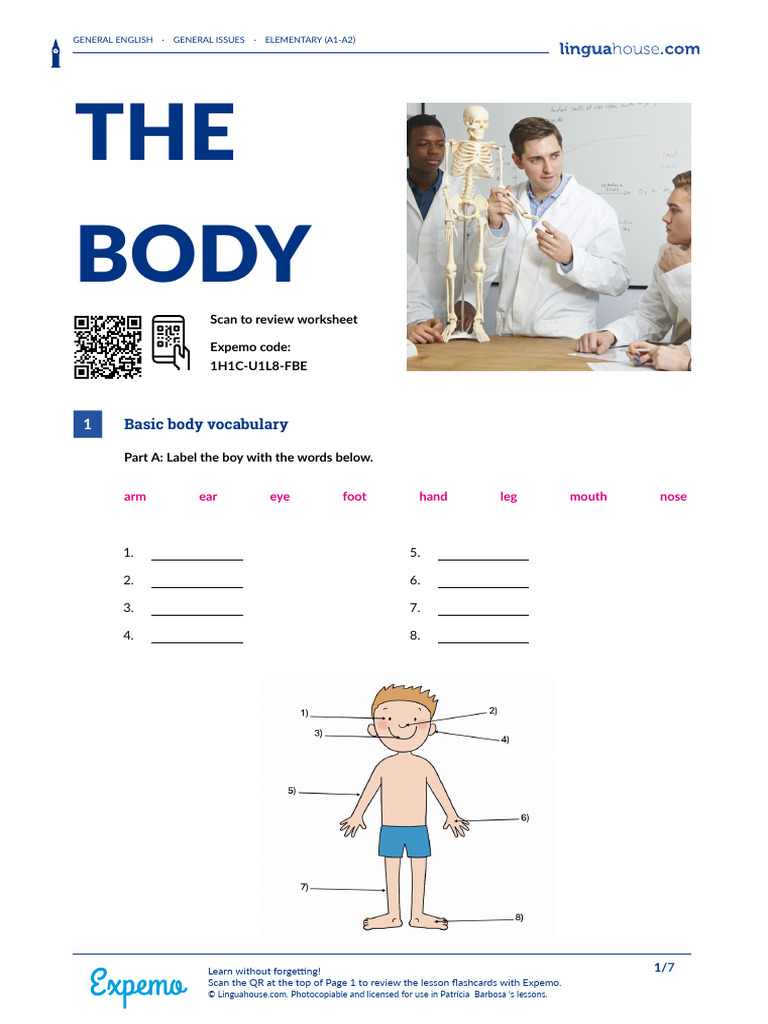 Body Vocabulary for English Learners | PDF | English Language | Linguistics