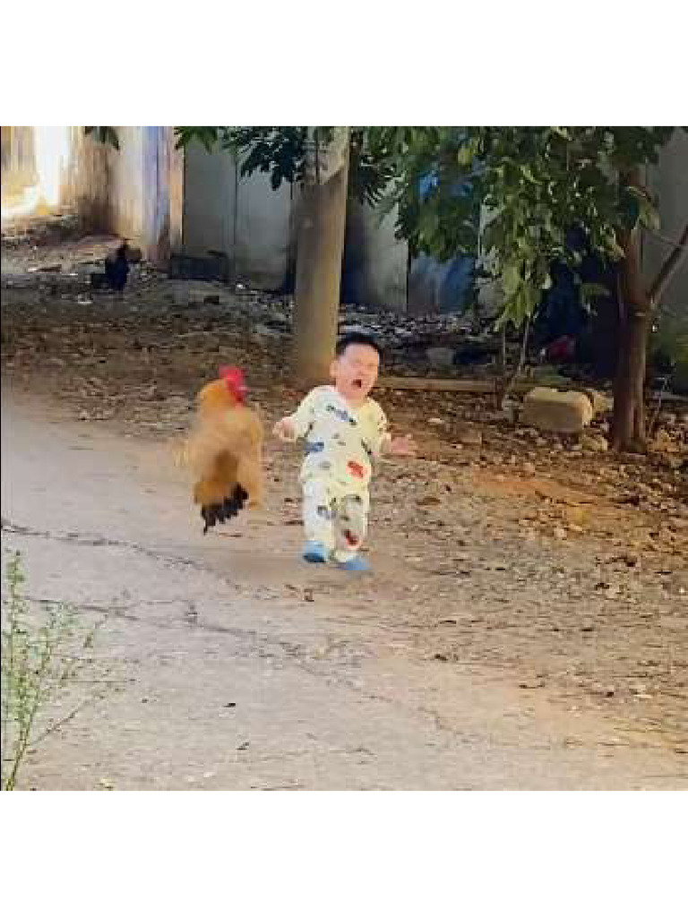 Cuplikan layar 2025-08-06 112439 | PDF