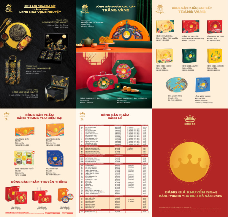 KDMC Brochure 2025 Revised | PDF