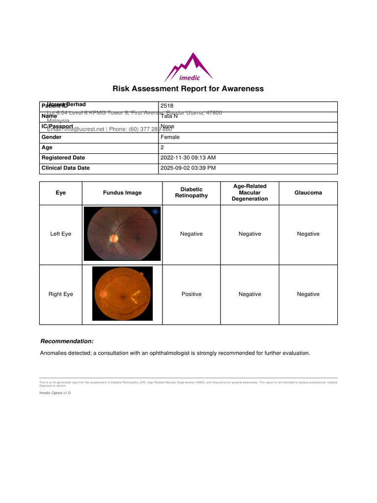 Diabetic Eye Disease Risk Assessment Report | PDF