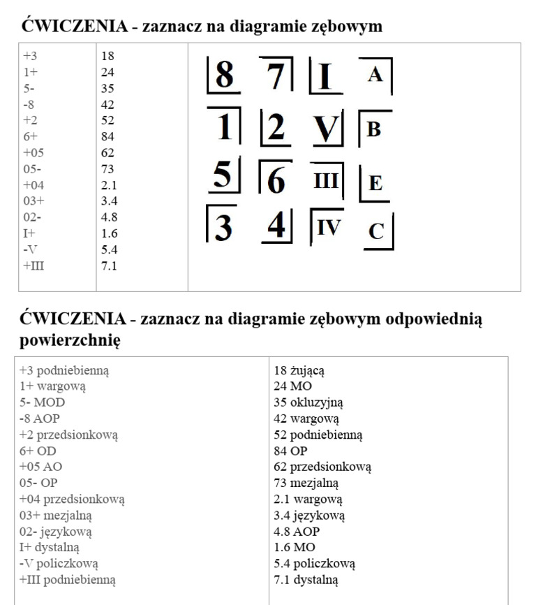 %C4%87wiczenia - oznaczanie z%C4%99b%C3%B3w | PDF