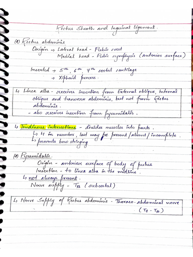 Rectus Sheath, Inguinal Ligament and Hernia | PDF