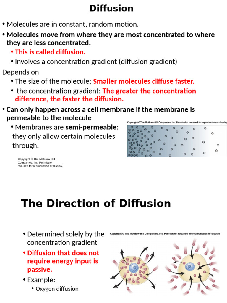 Understanding Diffusion and Transport Mechanisms | PDF | Enzyme ...
