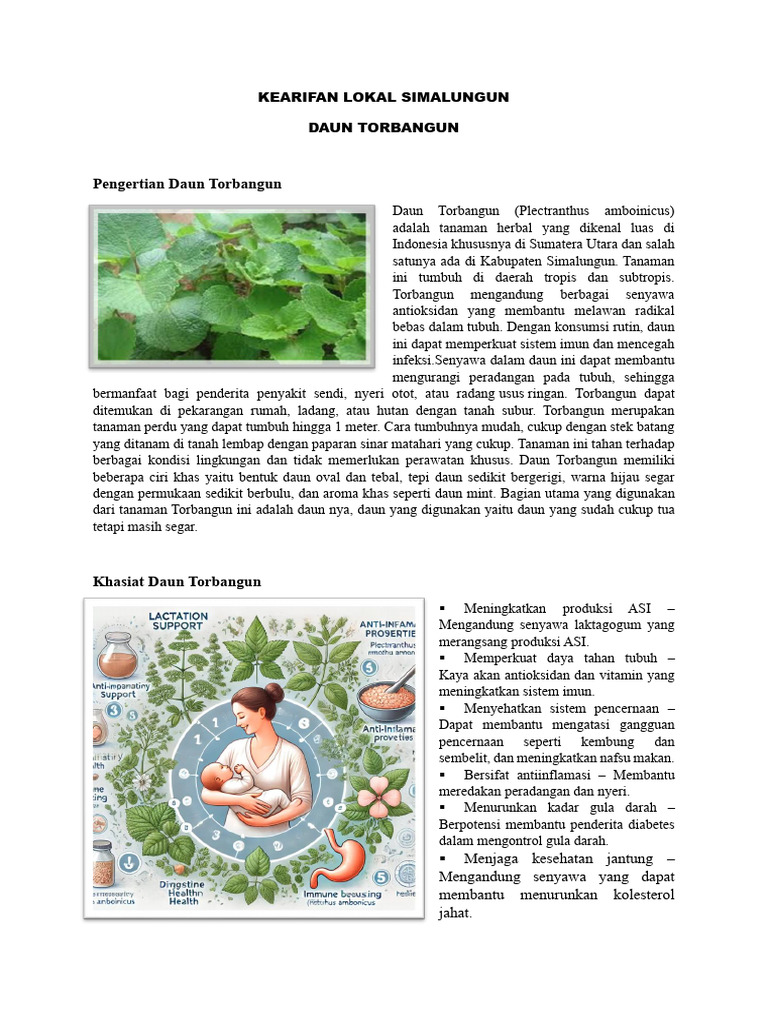 Obat Simalungun Daun Torbangun | PDF