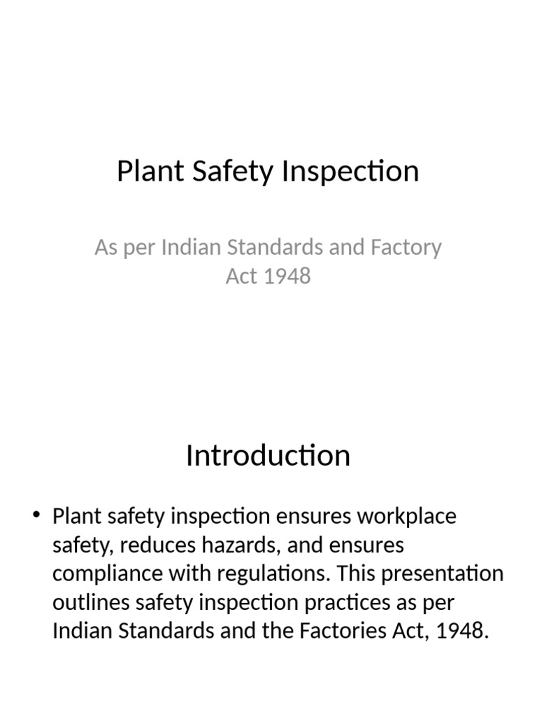 Plant Safety Inspection Guidelines | PDF