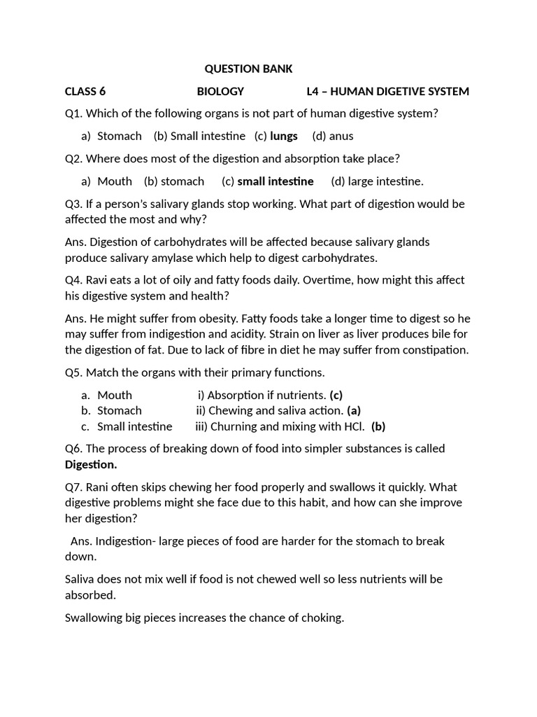 QUESTION BANK 6 Bio Digestive System | PDF