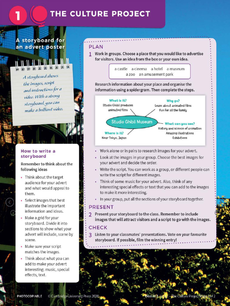Own It 2 Culture Project | PDF