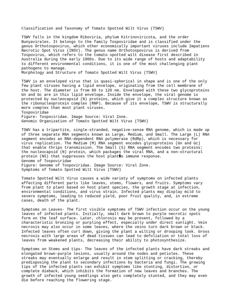 Tomato Spotted Wilt Virus Overview | PDF | Virus | Leaf