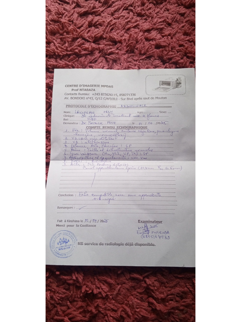 OneRead 20250401 1211 | PDF