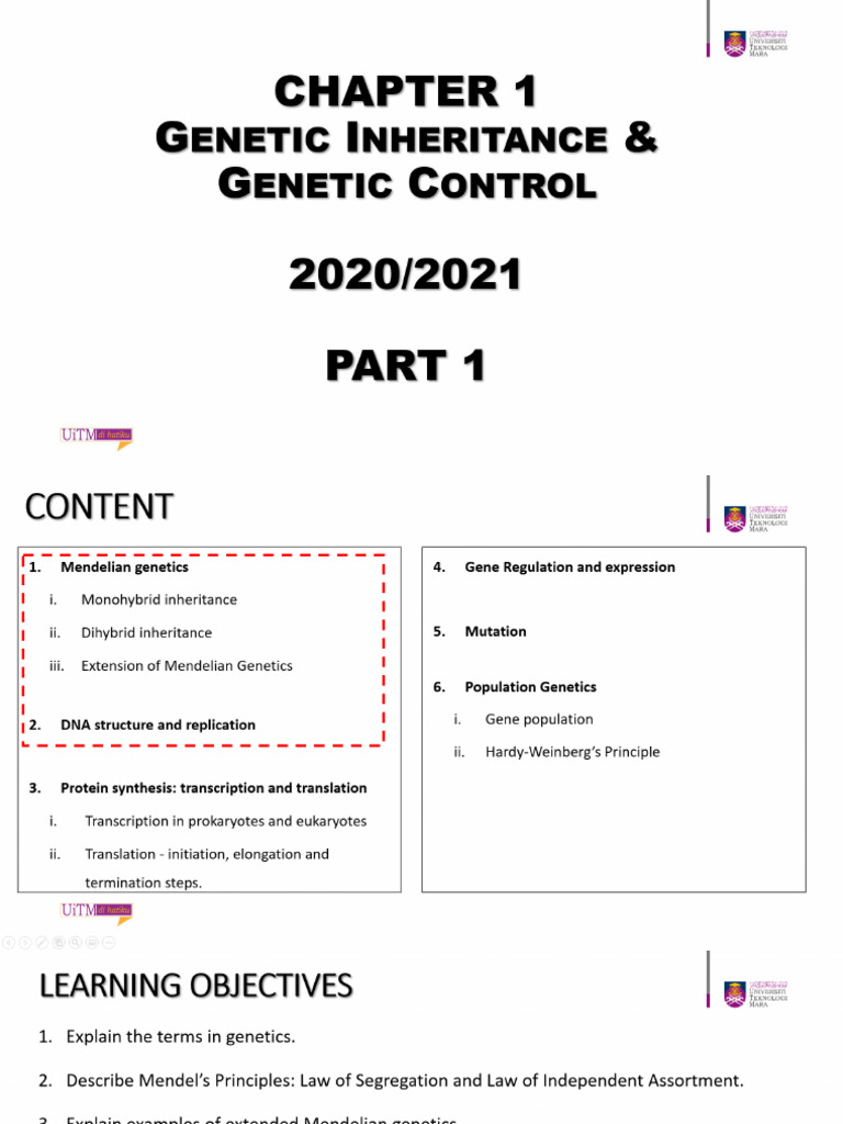 Genetics 2020 Part 1 Student Version | PDF