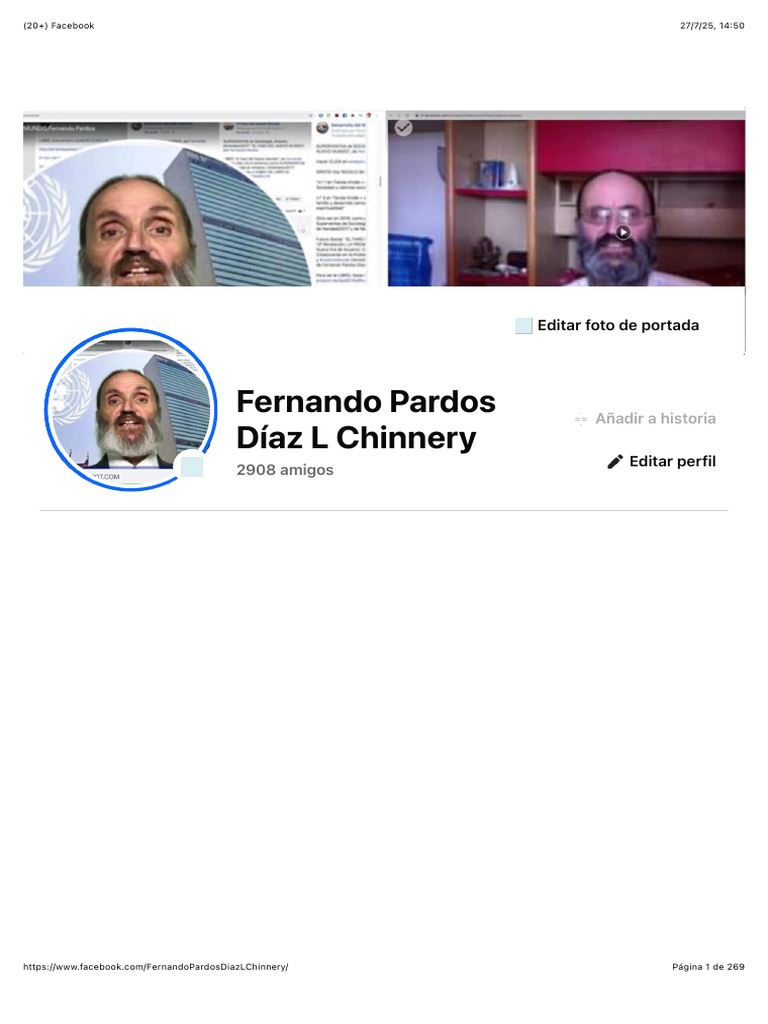 Perfil de Fernando Pardos Díaz L Chinnery | PDF