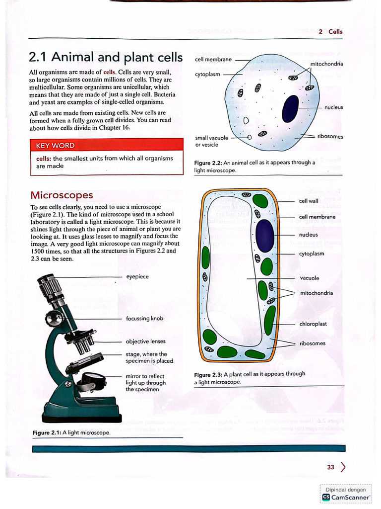 Cell | PDF