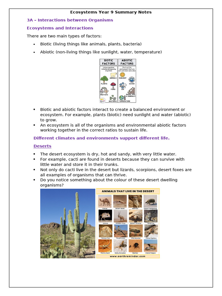 Year 9 Ecosystem Interactions Summary | PDF | Ecosystem | Water