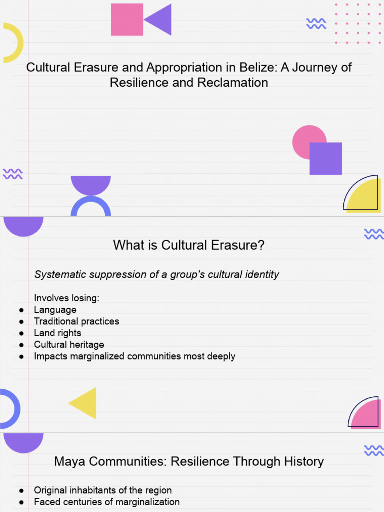 Cultural Erasure and Appropriation | PDF