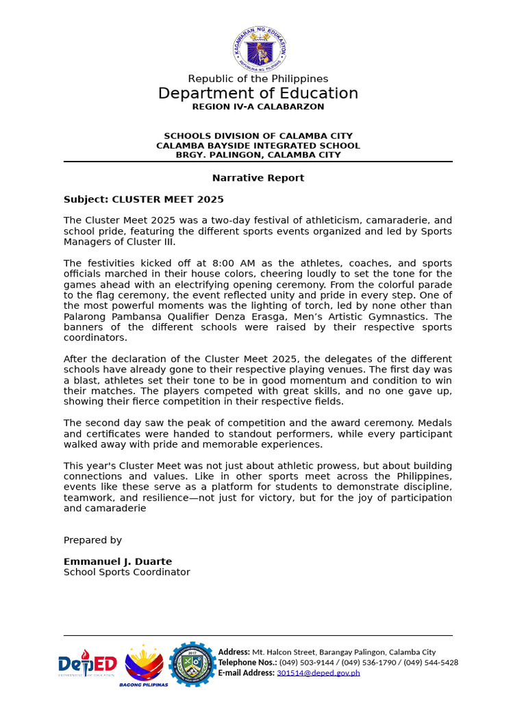 Narrative Report Cluster Meet | PDF