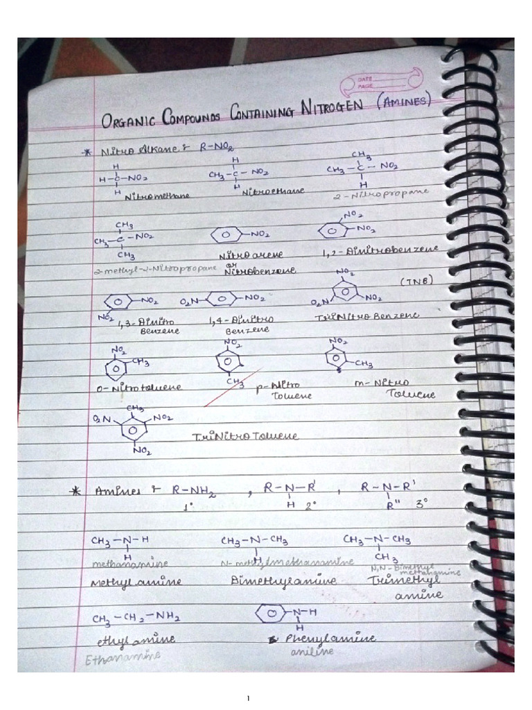 Chemistry Class 12 Chapter 9 Amines Noted | PDF