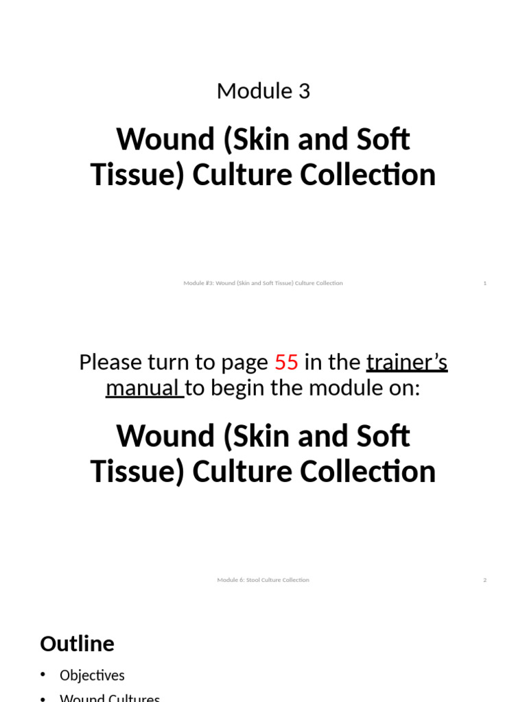 (3 of 6) Wound (Skin and Soft Tissue) Collection | PDF | Wound | Hand ...