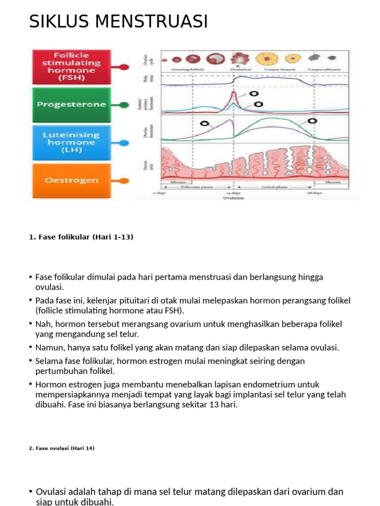 SIKLUS MENSTRUASI | PDF