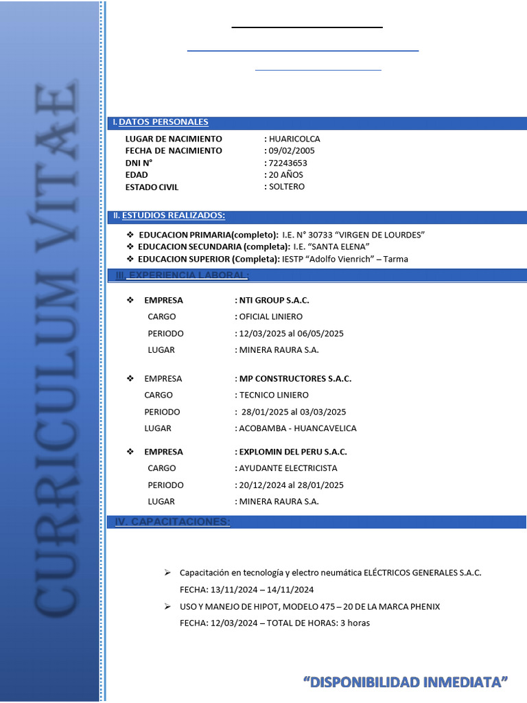 Currículum de Andy Alexis López Gutarate | PDF