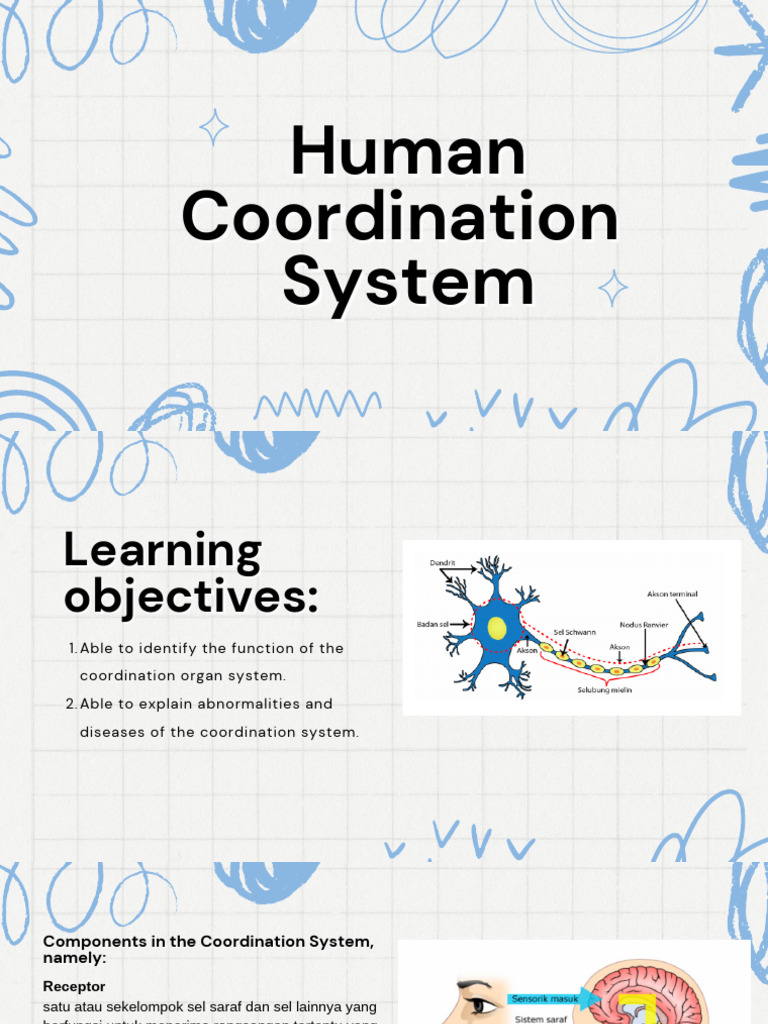 Coordination System | PDF