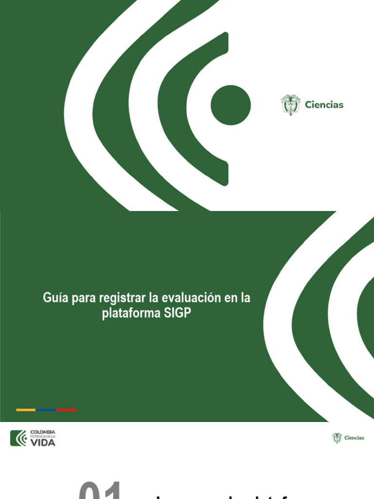 Guía para evaluar en la plataforma SIGP | PDF | Informática
