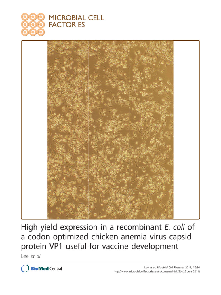 High Yield Expression in A Recombinant E. Coli of A Codon Optimized ...