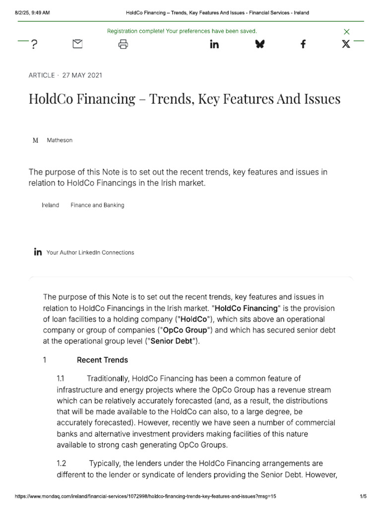 Holdco Financing | PDF