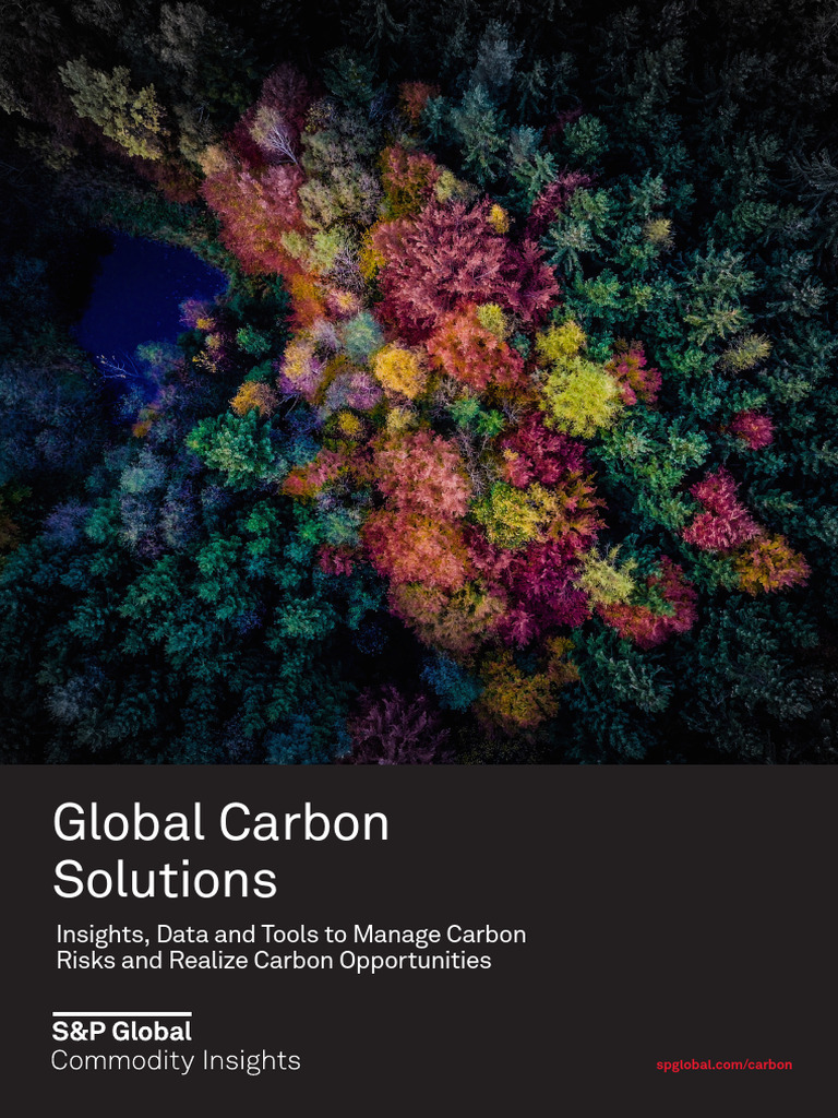 Global Carbon Solutions: Insights, Data and Tools To Manage Carbon ...