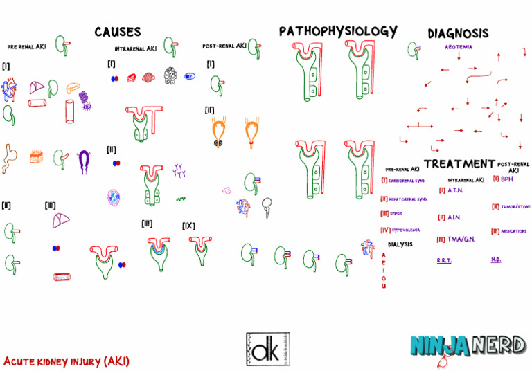 Acute Kidney Injury (AKI) | PDF
