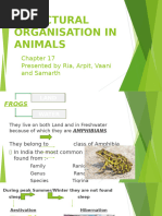 Frog Urinogenital System Overview | PDF | Kidney | Anatomy